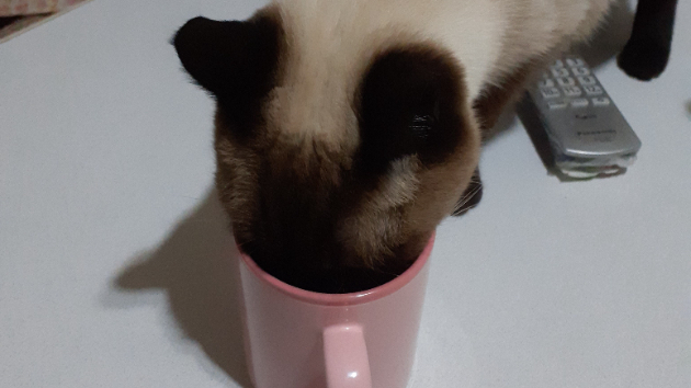 イライラの原因｜みどり＠0809｜coconalaブログ